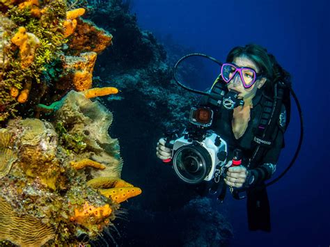 Scuba Diving Coral Reef