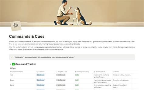 Notion Template Marketplace — Collections