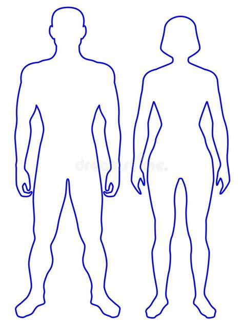 Human Body Outline Stock Illustrations 63565 Human Body Outline