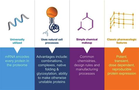 Advantages Of Messenger RNA MRNA Moderna Inc Cambridge MA USA Download Scientific