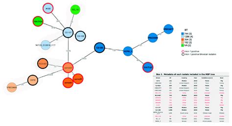 minimum spanning tree based on cgmlst comprising 2513 genes of e coli