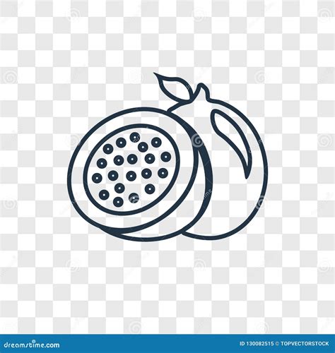 Passion Fruit Concept Vector Linear Icon Isolated On Transparent Stock
