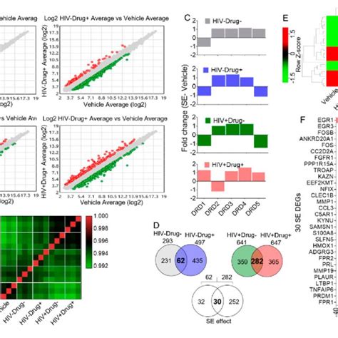 Top 10 Kegg Pathways By Count As Determined By Transcriptome Analysis Download Scientific