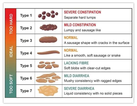 Stool Consistency Chart