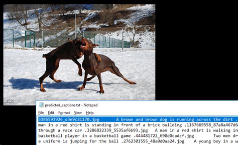 Network Does Not Converge Bad Captions Issue Anuragmishracse Caption Generator GitHub