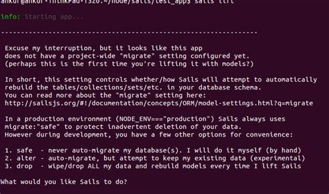 Auto Generate Rest Api Using Sailsjs