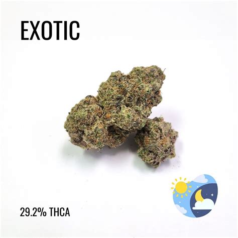 Thca Flower Co Buy Thca