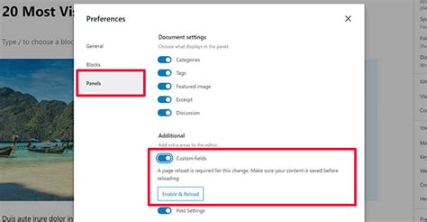 How To Fix Custom Fields Not Showing In WordPress MambaHosting