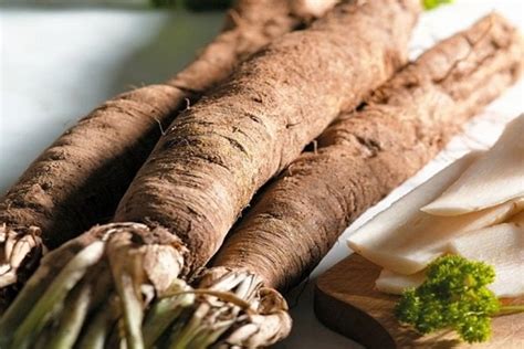 Черная морковь (скорцонера): сорта, посадка и выращивание
