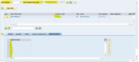 Serial Numbers In Sap Mm Sap Community