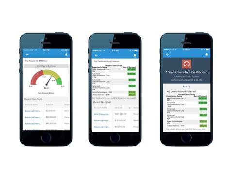Salesforce1 App