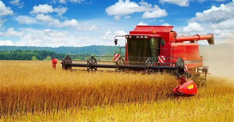 Какие бывают виды комбайнов в сельском хозяйстве — Teletype