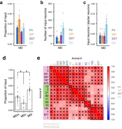 Md Targeting Of Mpfc And Dissociation Of The Thalamic Input To Dorsal