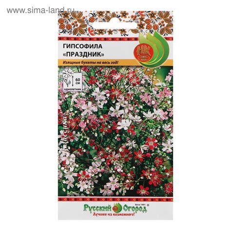 Гипсофила многолетняя семена 70 фото НА ДАЧЕ ФОТО