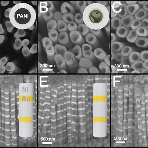 Sem Images With Respective Top And Cross Sectional View Core Shell