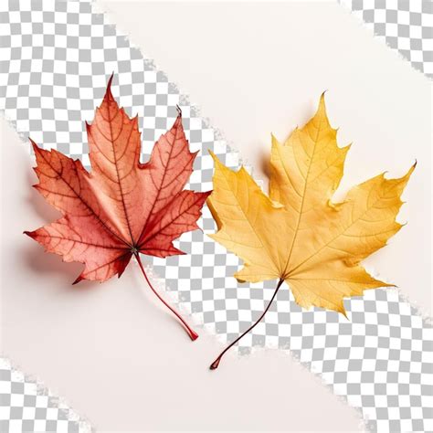 Premium Psd A Picture Of Maple Leaves On A Checkered Table