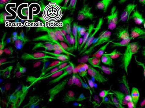Scp Threat Level Color Definitions Scp Foundation Amino