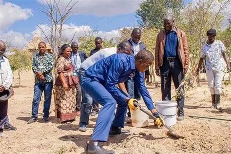 Ecl Goes Green In Tree Planting By Pf Cadre Network