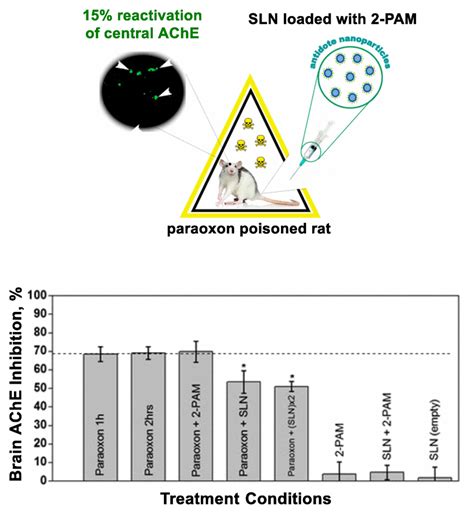 Cns Drug Delivery Using 2 Pam Loaded Solid Lipid Nanoparticles Sln Download Scientific
