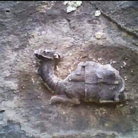 🤲اللهم يسر لكل من توكل عليك يا رب العالمين كنوزمخفيةأسرارالتاريخ