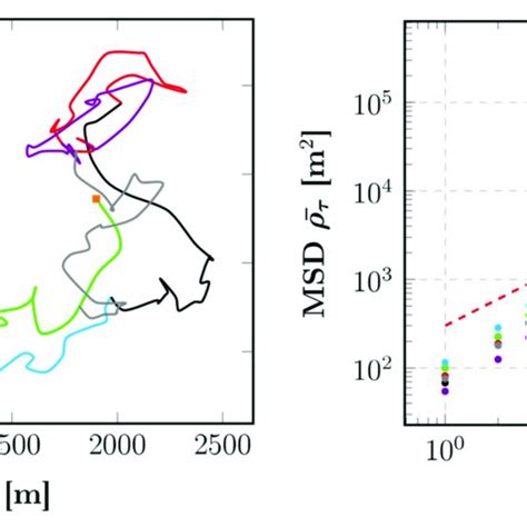 Schematic Representation Of The Mean Squared Displacement Msd