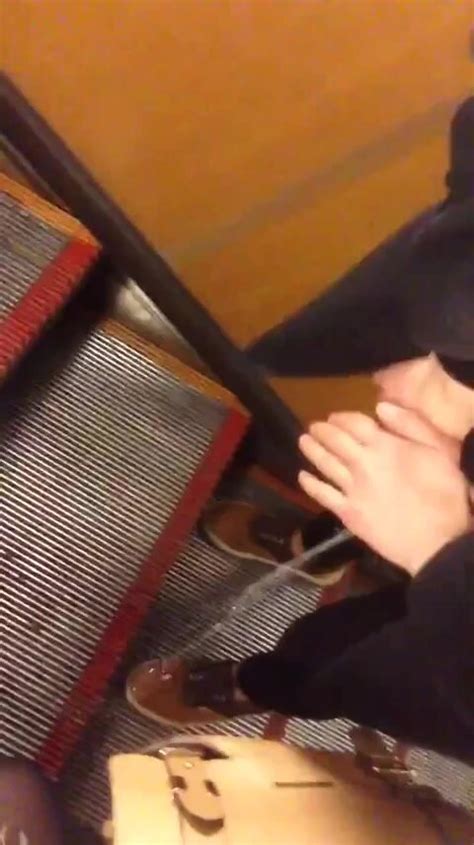 Fried S Piss On The Escaltor