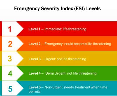 Assessment And Care In An Emergency Flashcards Quizlet