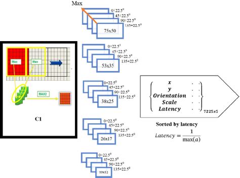 Figure 5 From Object Categorization At The Higher Levels Do With More Neurons Than Finer Levels
