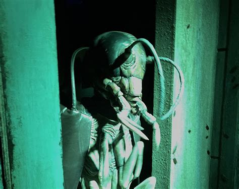 Giant Cockroach Halloween Horror Nights Wiki Fandom