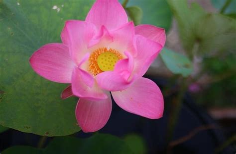 When Ip66 Matters In Lighting Flammability Testing Equipment Manufacturer