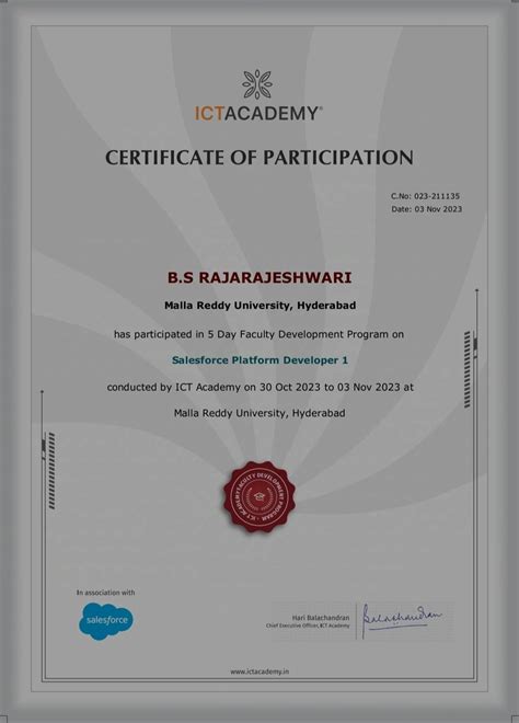 Raja Rajeshwari On Linkedin The Salesforce Platform Development 1
