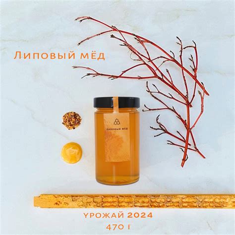 Мёд из горной липы 2024 года сбора (липовый мёд) Мёдовиль, 350 мл, 470 ...