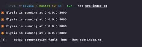 Segmentation Faults Exited With Code Sigsegv Issue Oven
