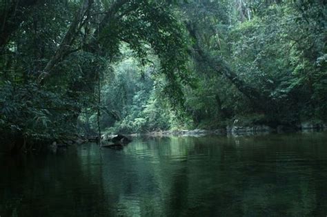 รูปกรอบข้อความตัวอักษร Png ง่าย เรขาคณิต วาดด้วยมือภาพ Png และ Psd สำหรับดาวน์โหลดฟรี