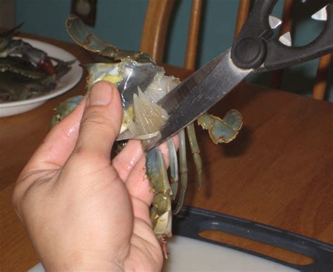 How To Prep Cook Soft Shell Crabs Lauren Conrad