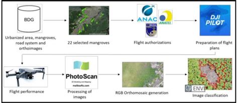 Summary Of The Methodological Procedures Developed Download
