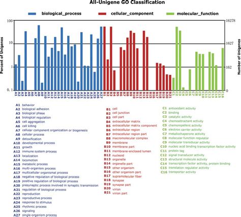 Gene Ontology Go Annotation 2nd Level Go Terms Of Schizothorax