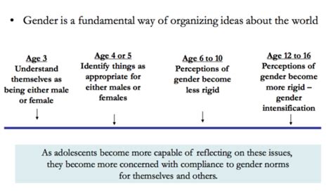 HDE B Midterm Flashcards Quizlet
