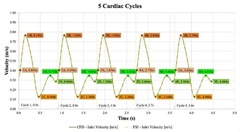 Pulsatile Velocity Waveform Of 5 Cardiac Cycles Reproduced From [42] Download Scientific