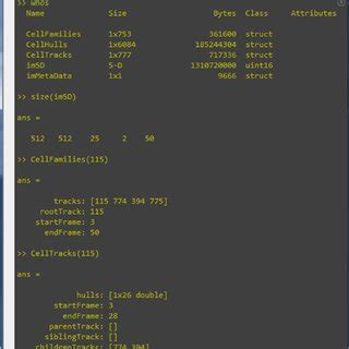 CloneView 3 D Is A WebGL HTML5 Application That Enables Distributed