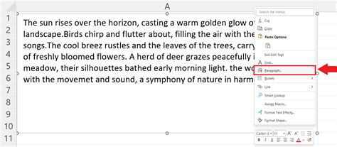 How To Adjust Line Spacing In Microsoft Excel Spreadcheaters