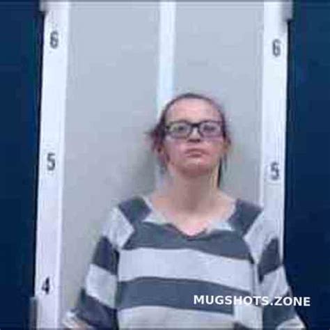 Brandy Turner 04 15 2025 Dekalb County Mugshots Zone