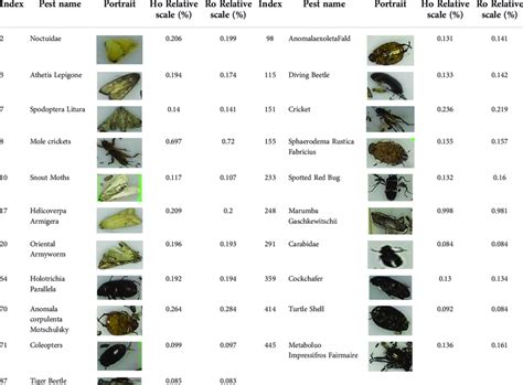 The Species Of Pests And The Proportion Of Relevant Sizes Download Scientific Diagram