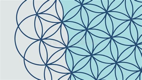 Flower Of Life Pattern Geometric Design Sacred Geometry Illustration Vector Design Generative