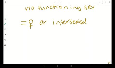 Solvedexplain What Would Occur During Fetal Development To An Xy