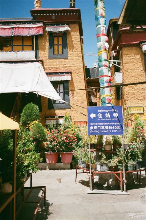 走進倉姑寺 每日頭條