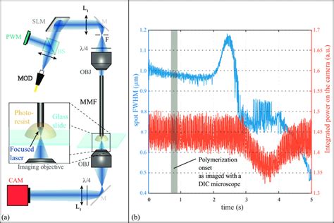 A Experimental Setup For Time Resolved Measurement Of The