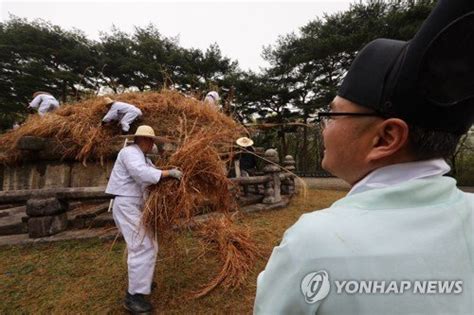 한식날 태조 이성계 건원릉 억새 베기 네이트 뉴스