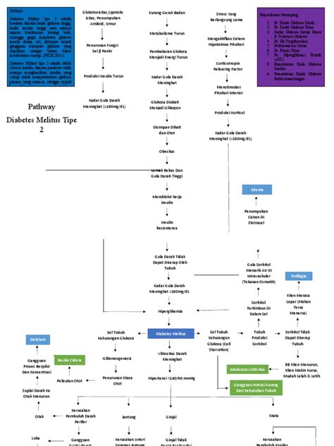 Pathway Dm Tipe 2 Fixxxx Pdf