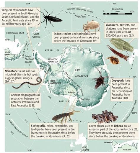 Antarctic Biodiversity Science